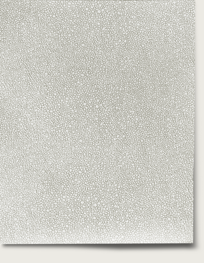 Shagreen - Sting Ray