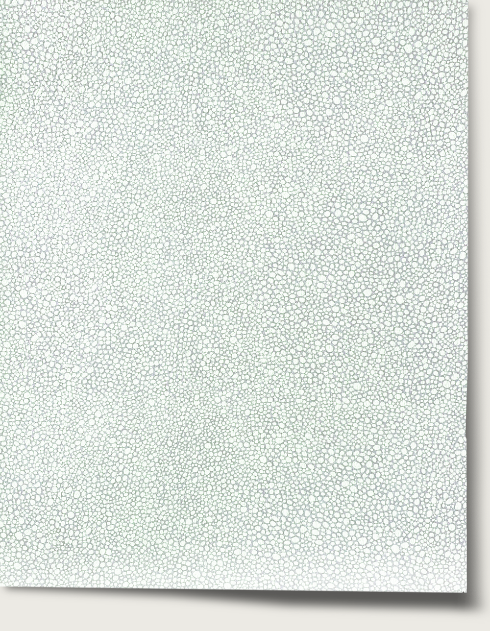 Shagreen - Eau de Nile