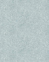 Shagreen - Sting Ray